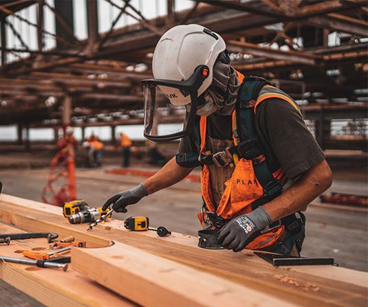 Royal recognition for Procure Plus after over 2,500 people helped into ...